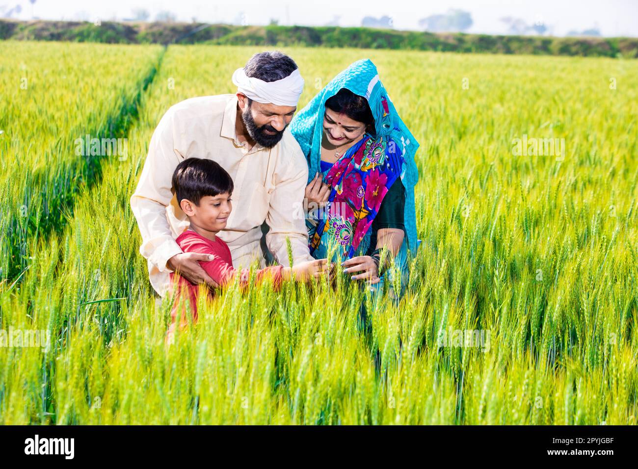 Portrait of happy young indian farmer family touching wheat crop ...