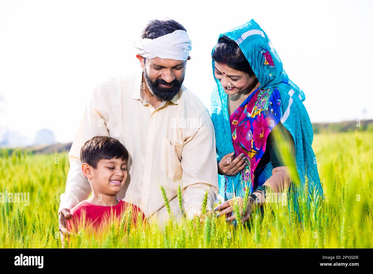 Portrait of happy young indian farmer family touching wheat crop ...