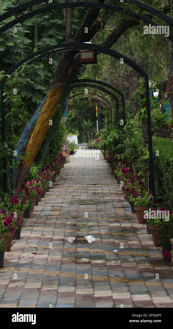 Romantic pathway in park hi-res stock photography and images - Alamy