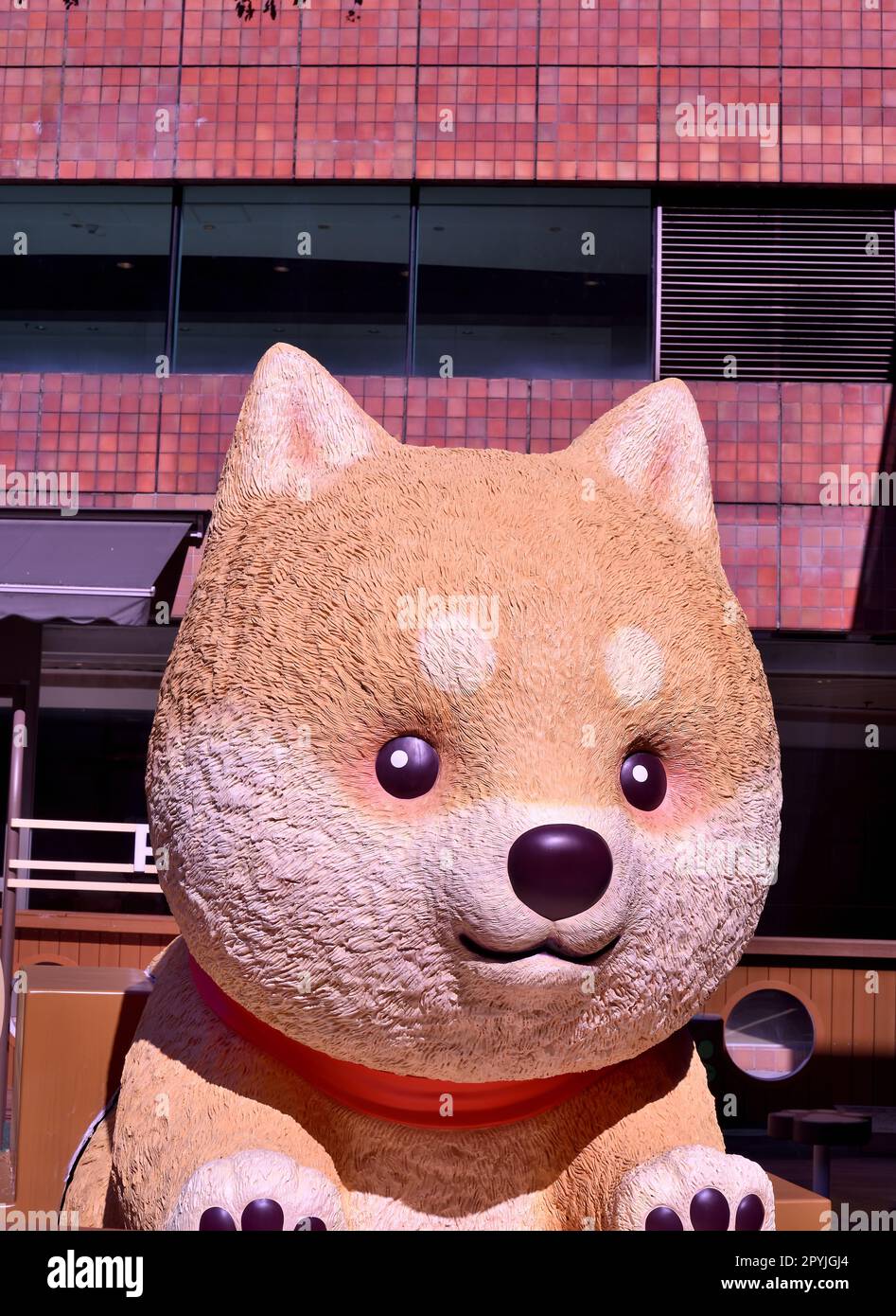 Large Shiba dog model in Pets Park, Shatin, Hong Kong Stock Photo - Alamy