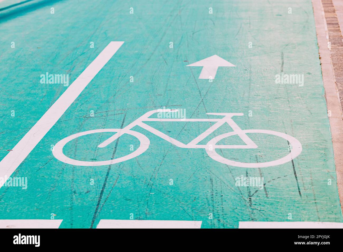 Painted blue Bicycle lane in city park. Eco environment and green and ...