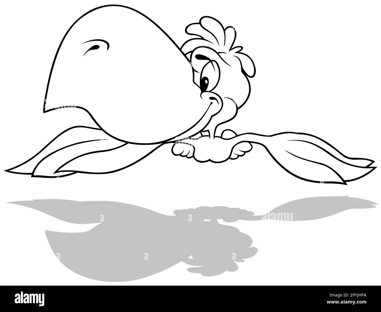 Drawing tropical parrot big Cut Out Stock Images & Pictures - Alamy