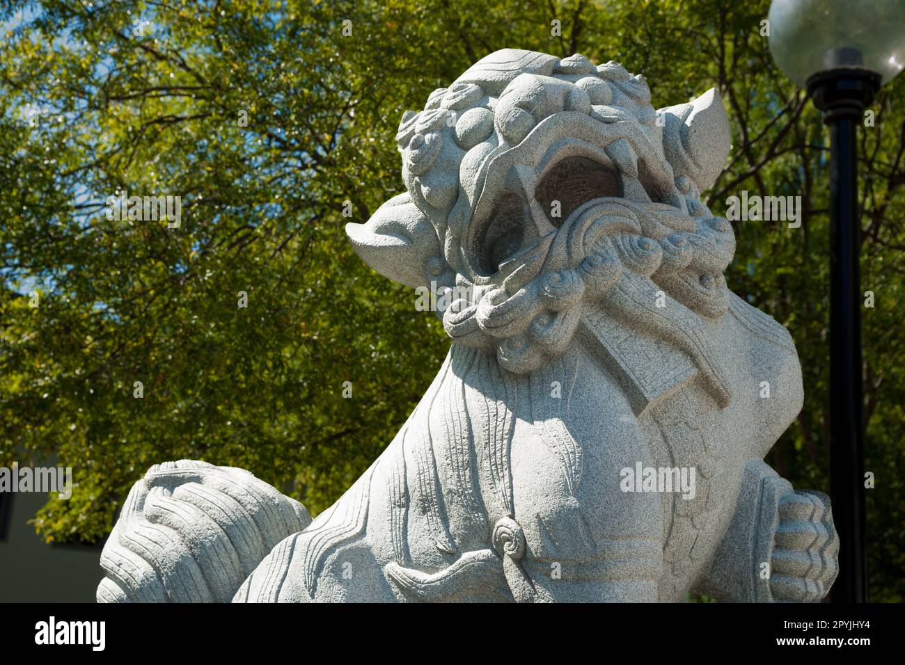 Close-up lion statue in park in Sydney Australia Stock Photo - Alamy