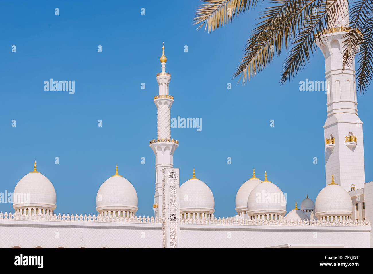 Palm leaves and striking masterpiece of Islamic architecture, the ...