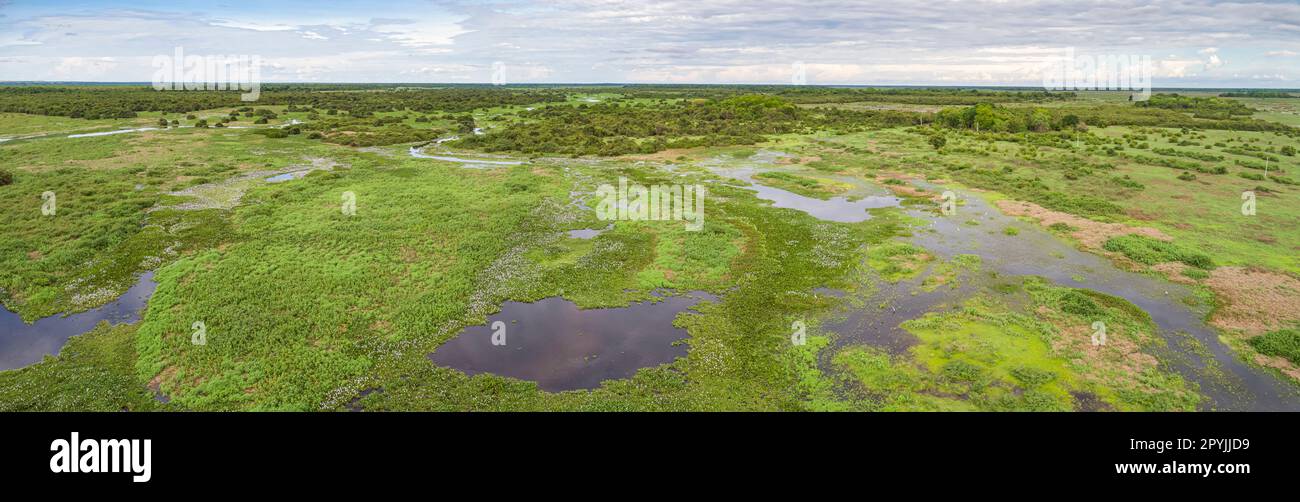 Aerial panorama of typical Pantanal Wetlands landscape with lagoons ...