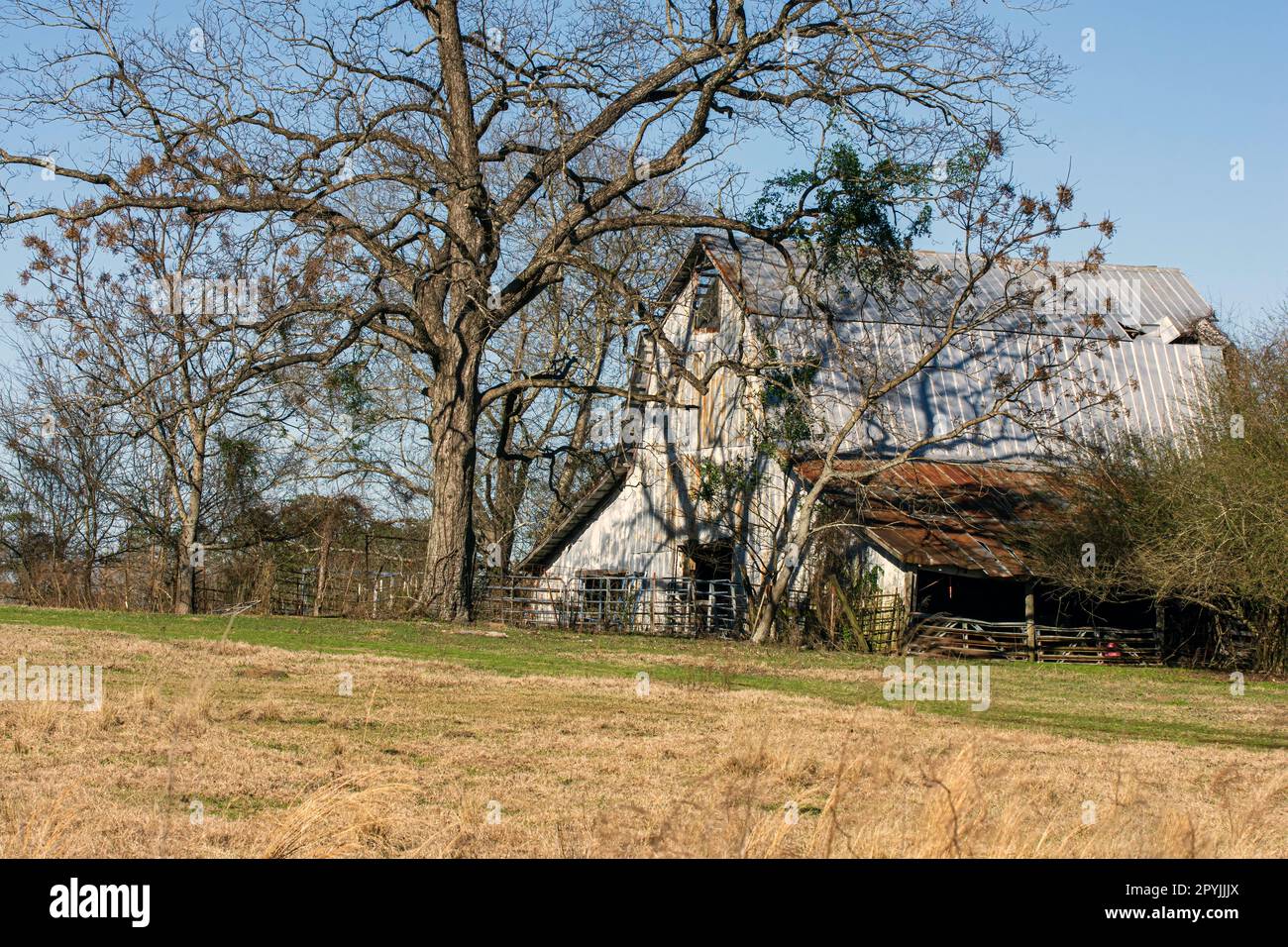 Rural alabama hi-res stock photography and images - Alamy