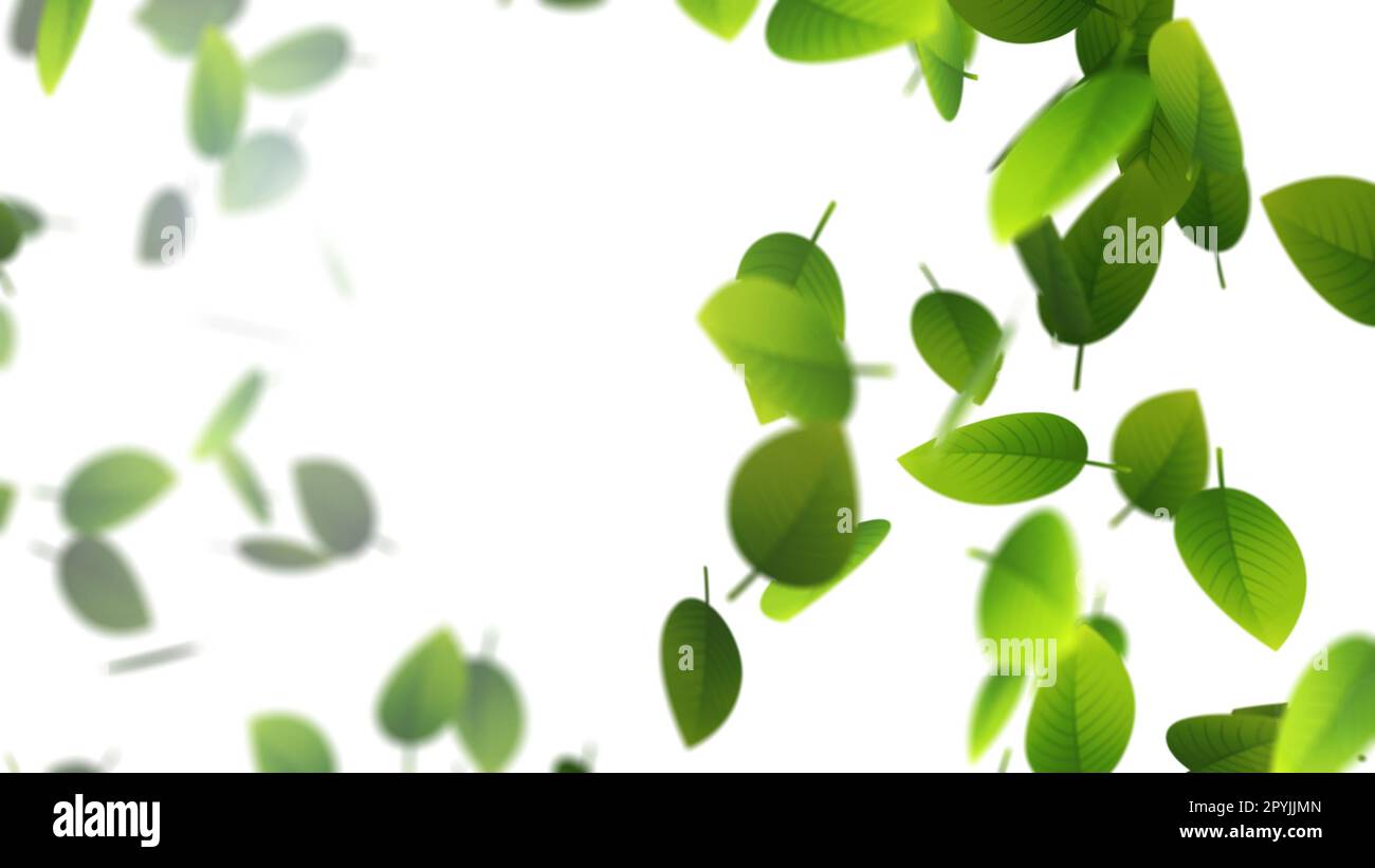 Flying green leaves on white background Stock Photo - Alamy