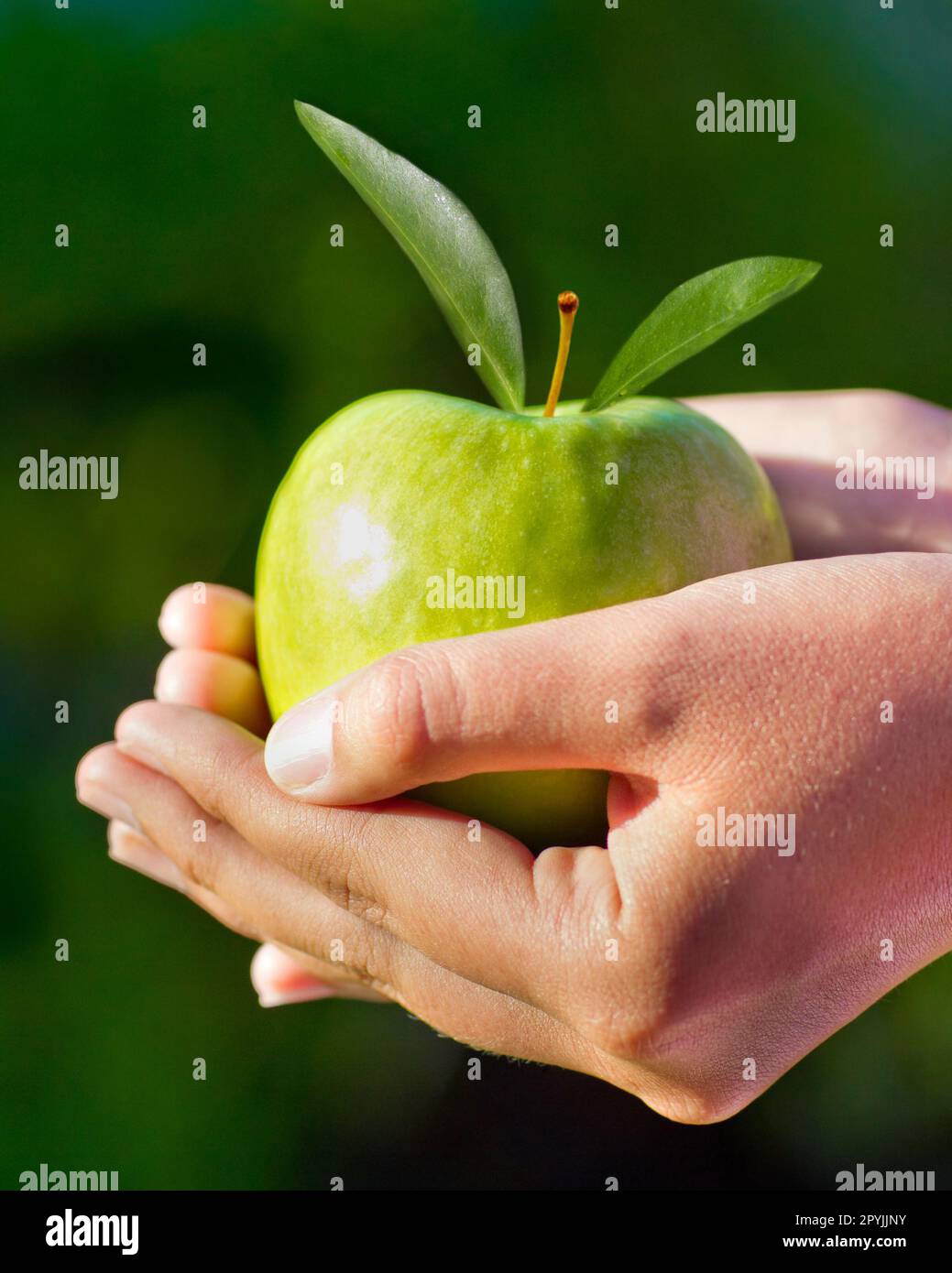 Hand cupping fruits hi-res stock photography and images - Alamy