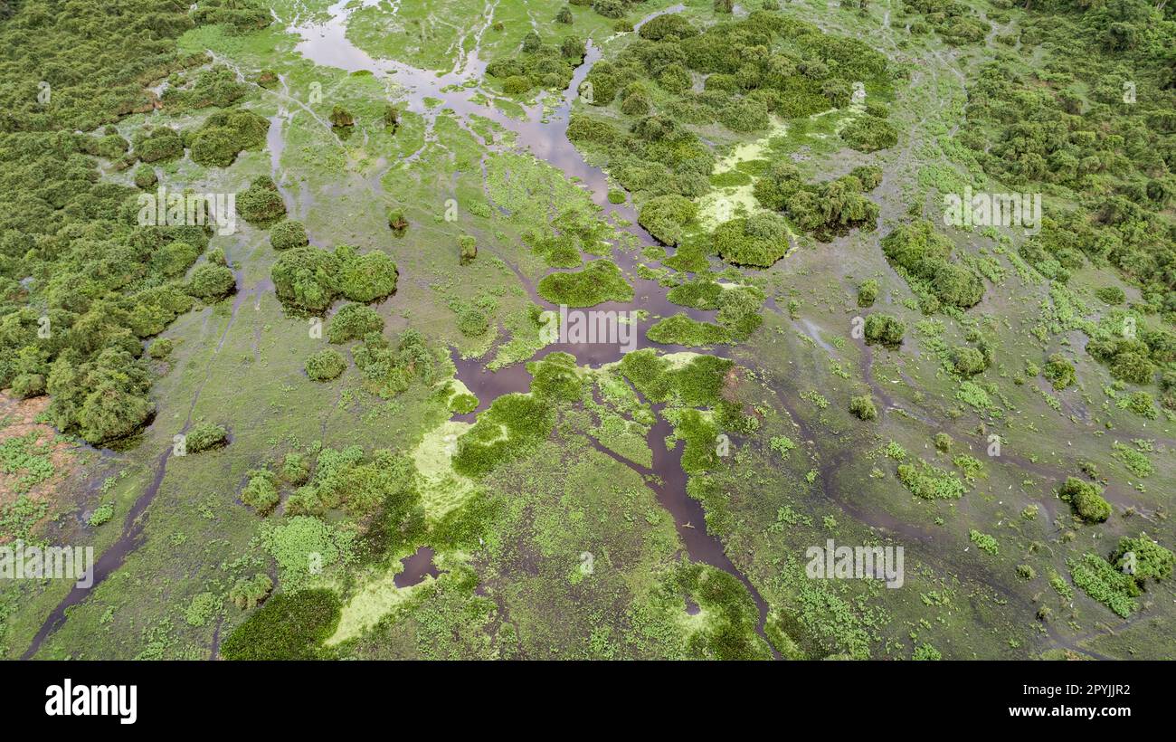 Aerial shot of typical Pantanal Wetlands landscape with lagoons ...