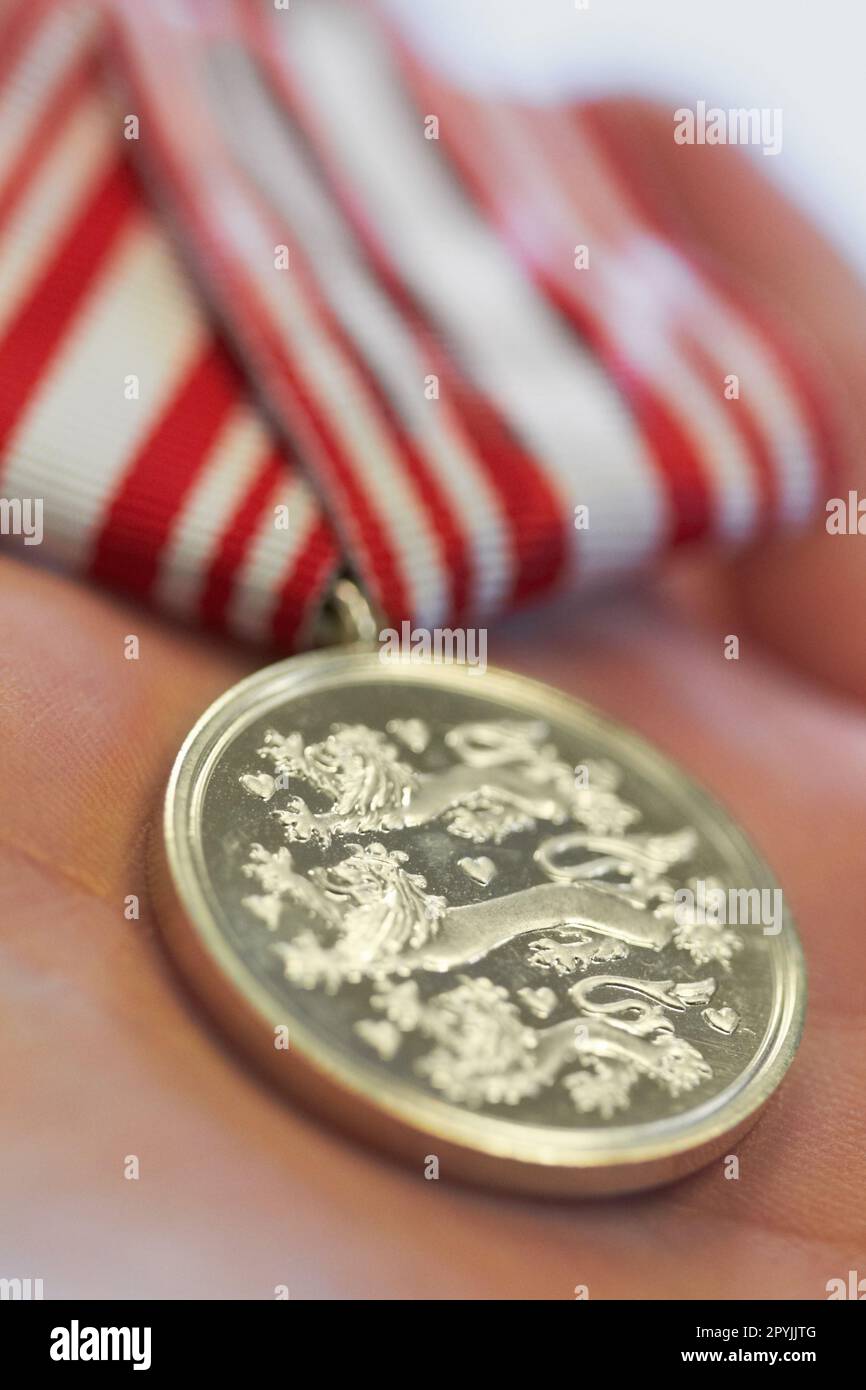 Help For Heroes Medal Logo Medal Hero Award Stock Illustrations