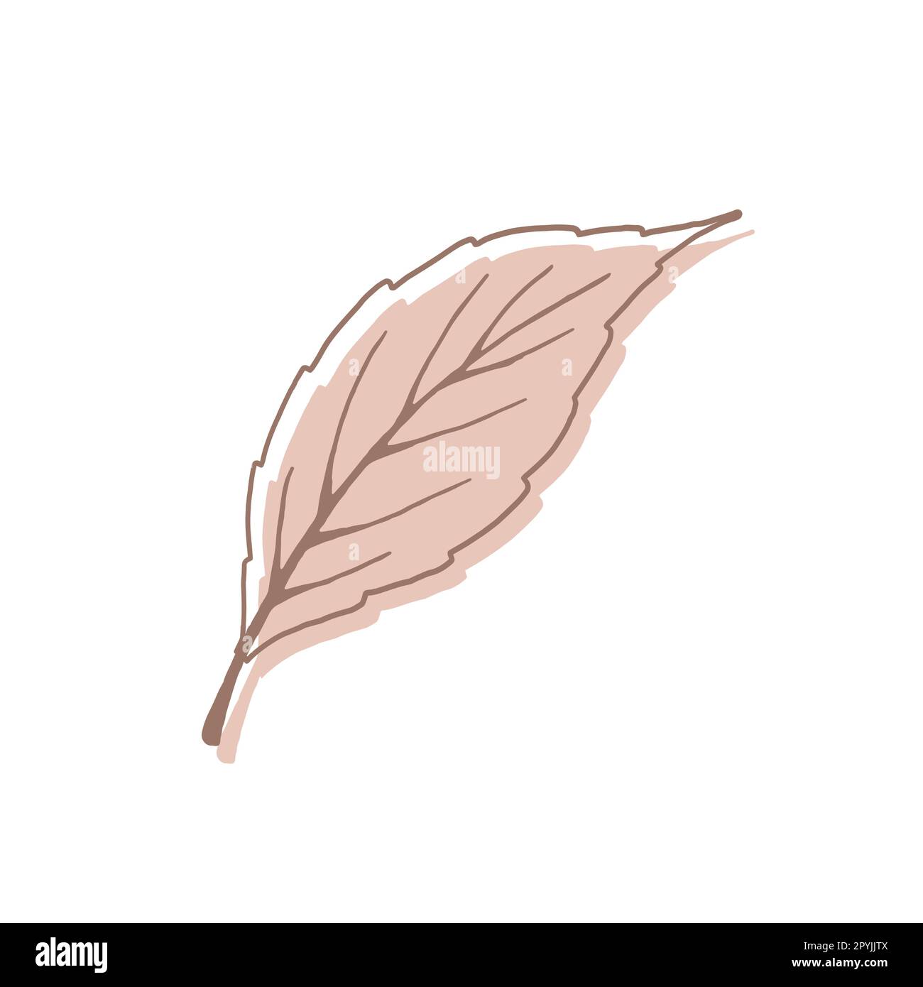 Abstract leaf. Minimalistic art in pastel colors. Design element for ...