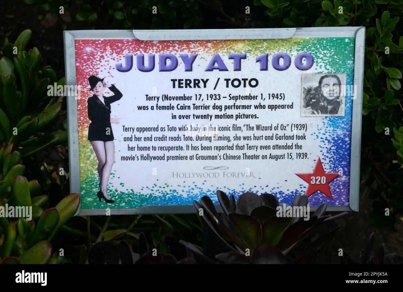 Los Angeles, California, USA 1st May 2023 Toto Memorial Statue at ...