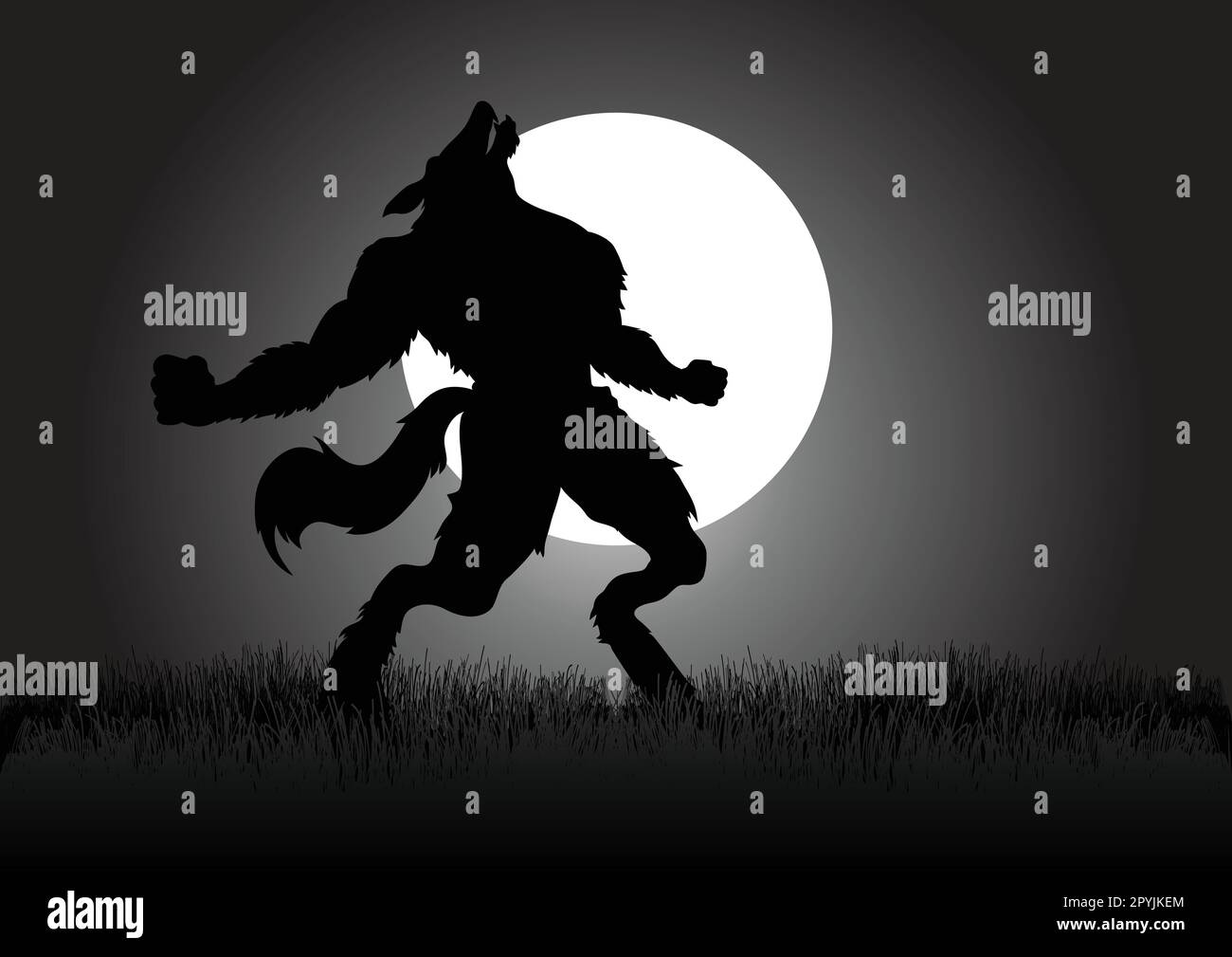 Stock vector of a werewolf howling in the night during full moon Stock Vector Image & Art - Alamy