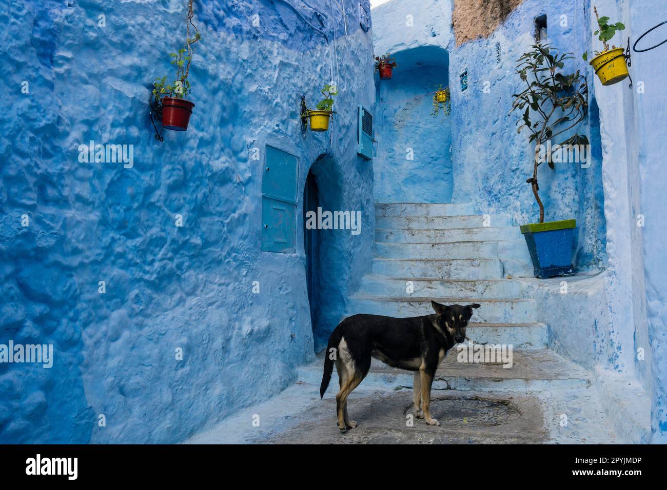 Chefchauen, -Chauen-, Marruecos, norte de Africa, continente africano ...