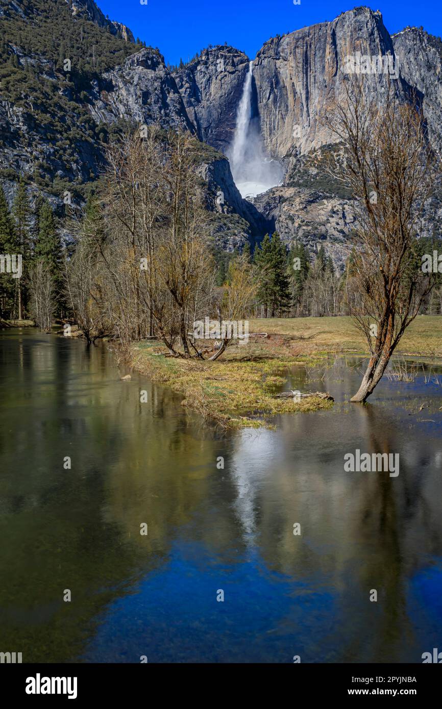 View of Yosemite Falls with a snow cone and a reflection in the spring in the Yosemite National ...