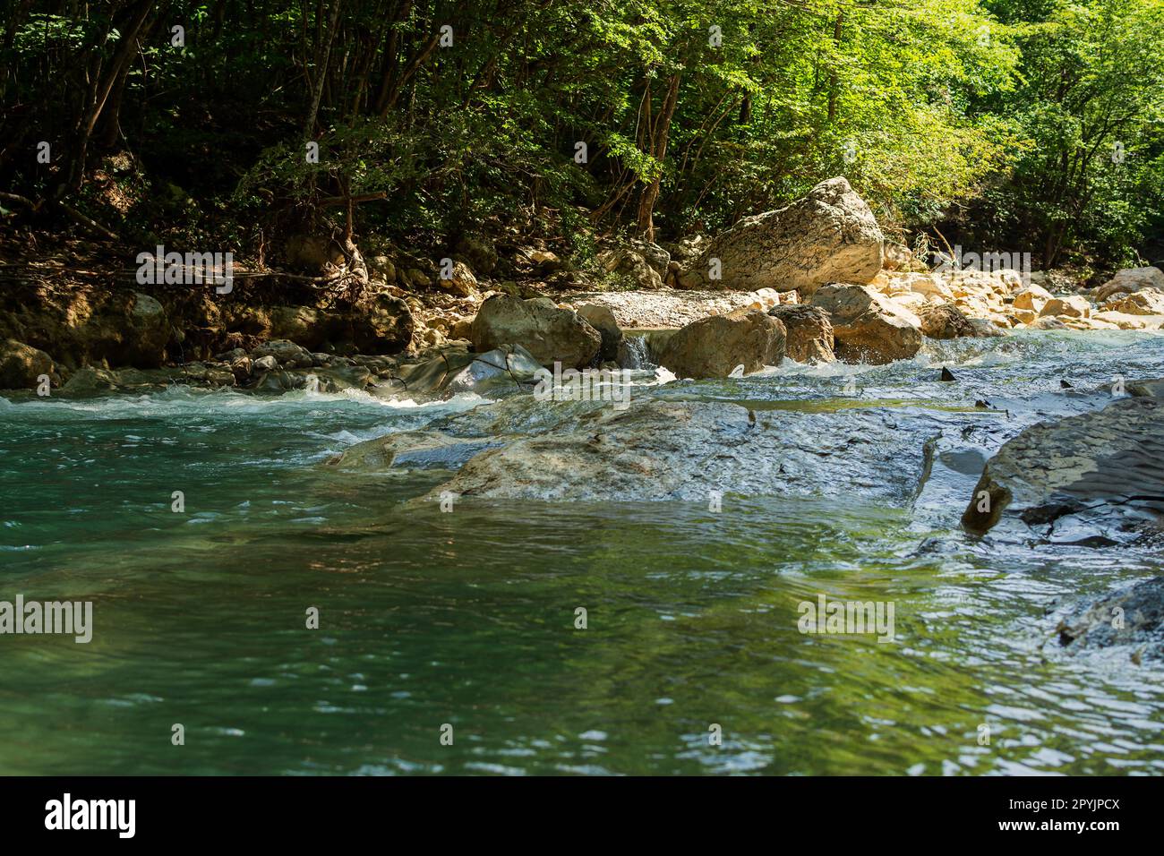 Mountain river green forest. Summer beautiful cool landscape in the ...
