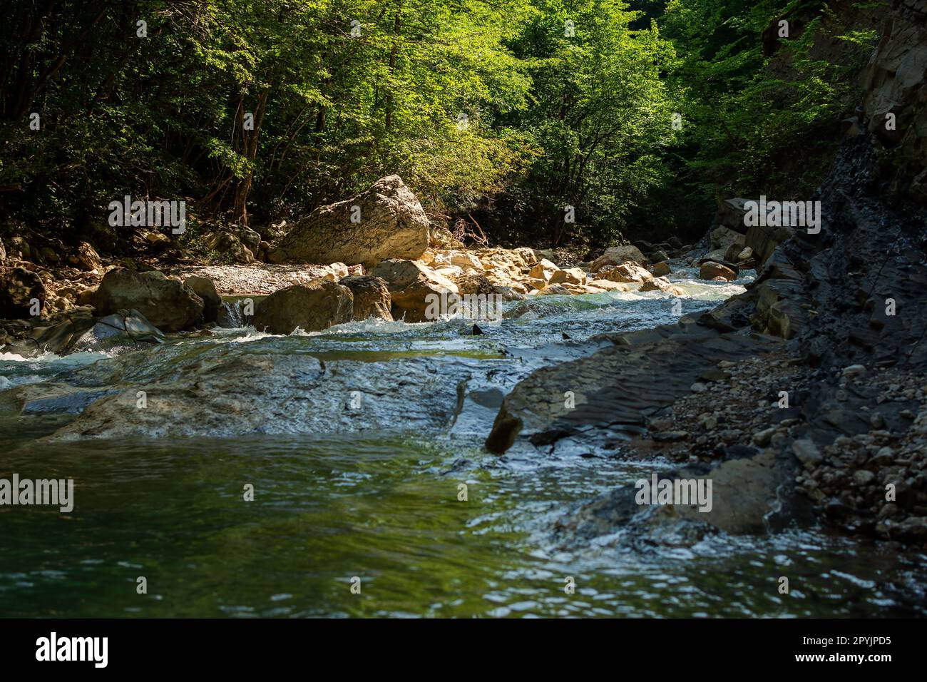 Mountain river green forest. Summer beautiful cool landscape in the ...