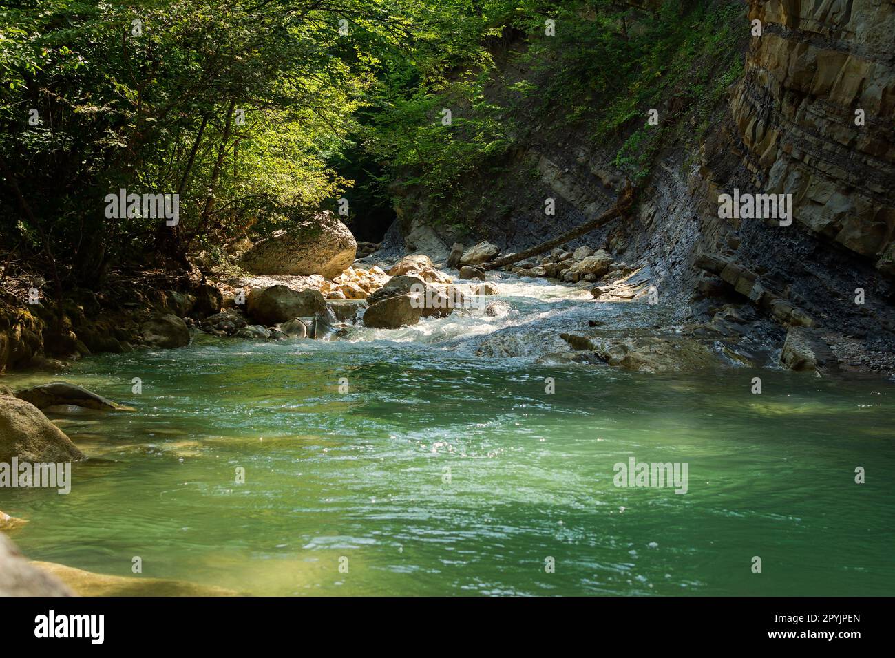 Mountain river green forest. Summer beautiful cool landscape in the ...