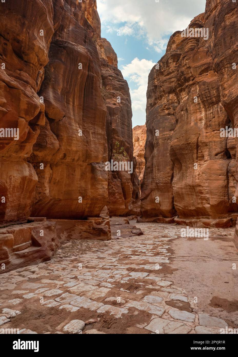 Al Siq Canyon in Petra, Jordan, pink red sandstone walls on both sides ...