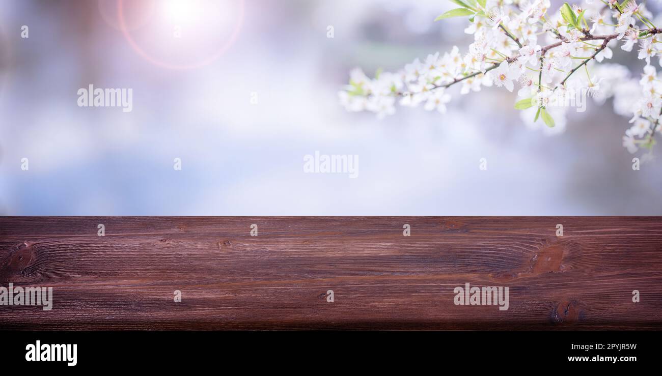 Spring blossom with wooden presentation counter Stock Photo - Alamy