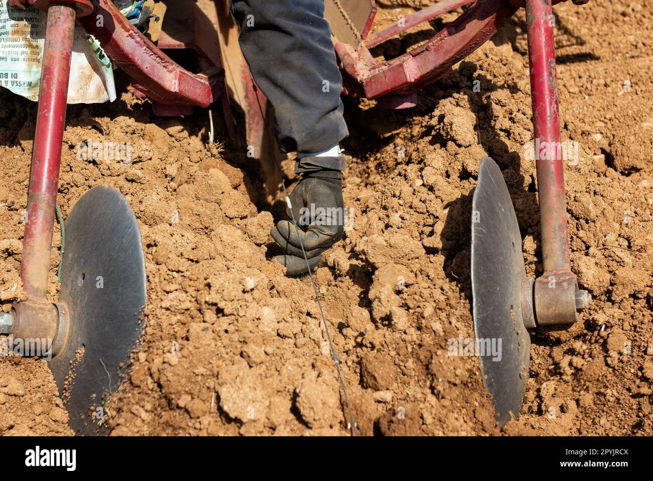 Farmer plants new vines in the vineyard with the tractor. Agriculture ...
