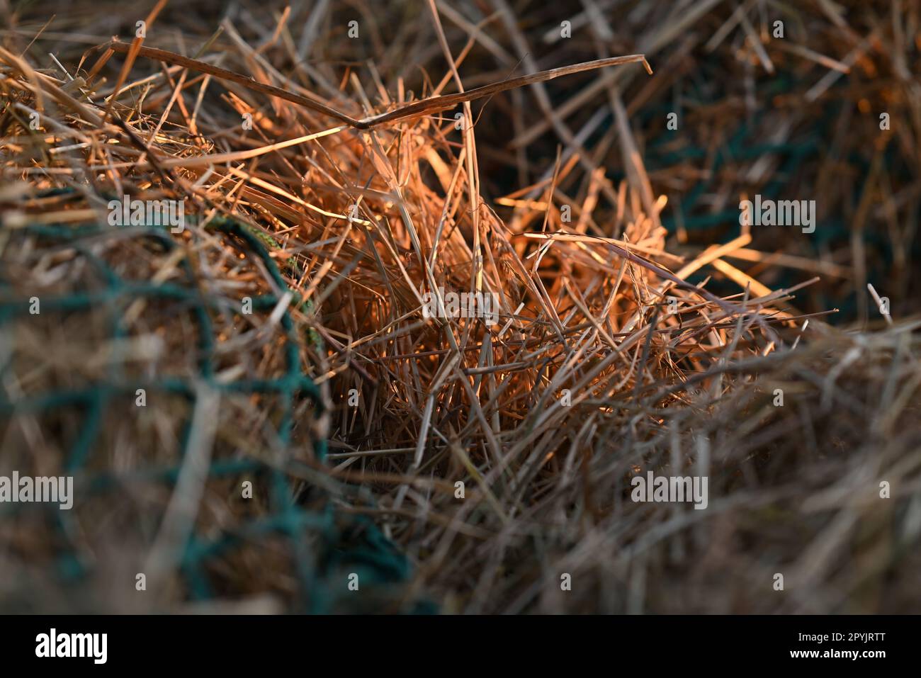 Partly covered hi-res stock photography and images - Alamy
