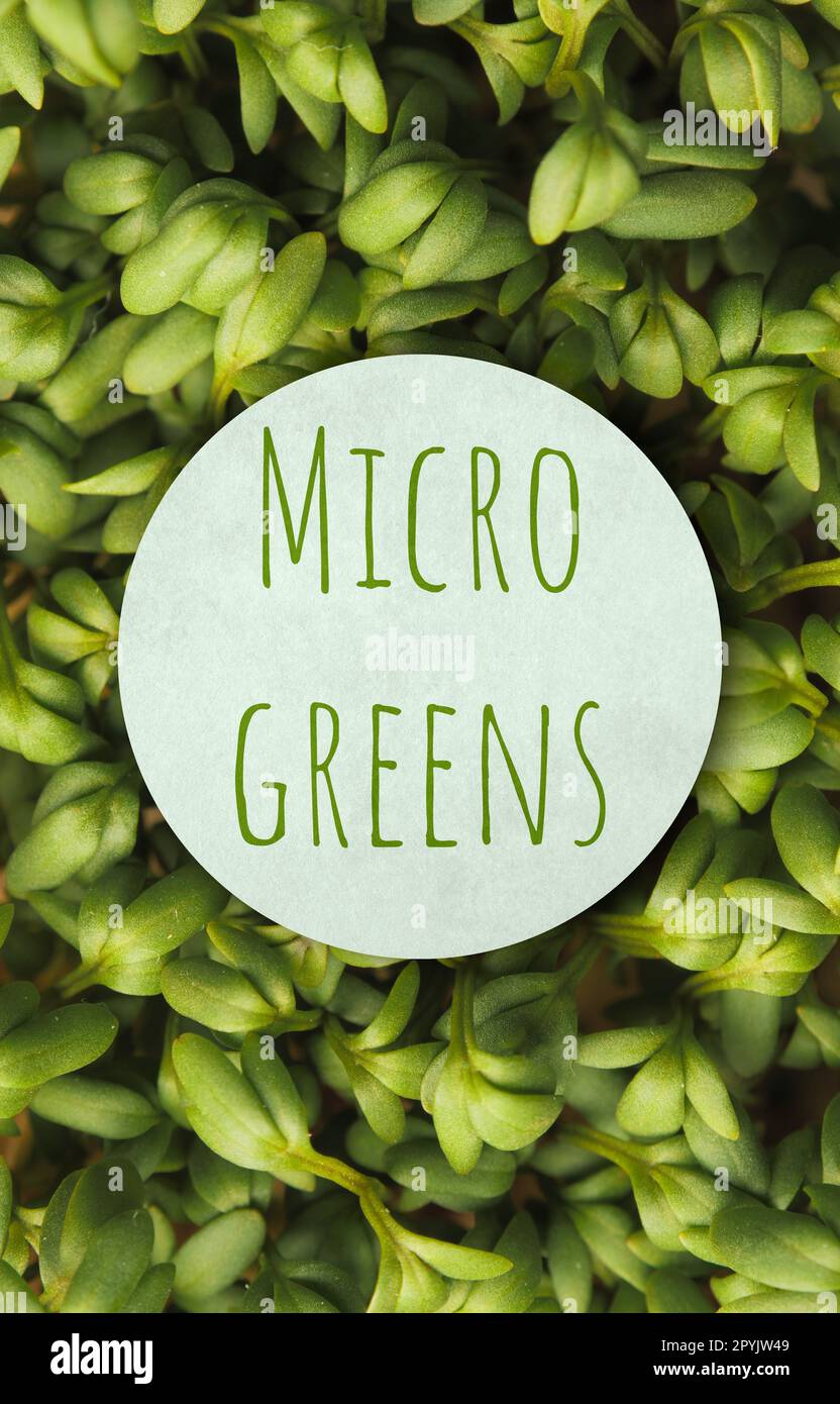 Fresh organic cress with the words Micro greens on a label Stock Photo ...