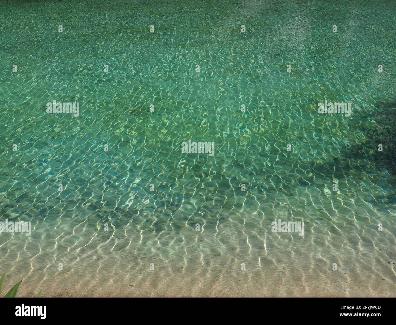 turquoise water. Clear sea water with waves and sun glare. The bottom ...