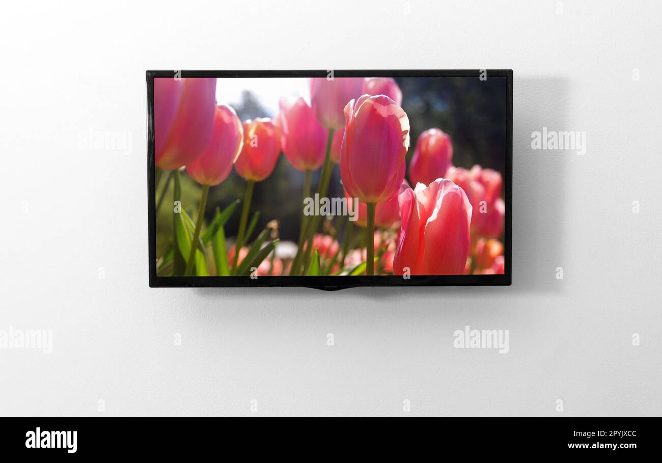 TV monitor on the wall Stock Photo - Alamy