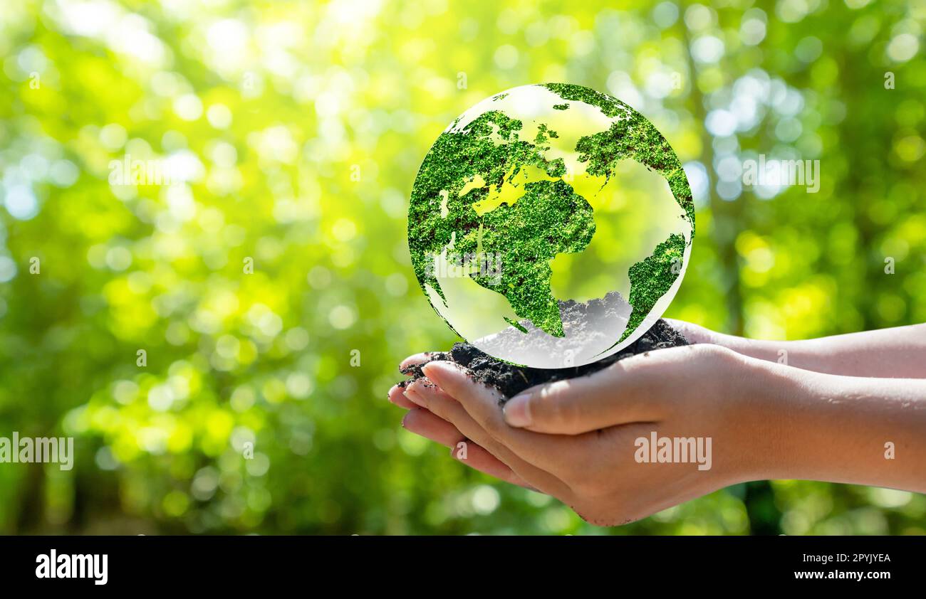 Concept Save the world save environment The world is in the grass of ...