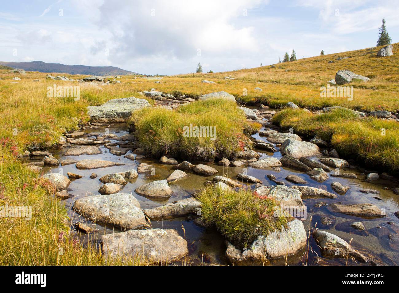 A clear mountain stream on the green meadows in the Austrian Alps Stock ...