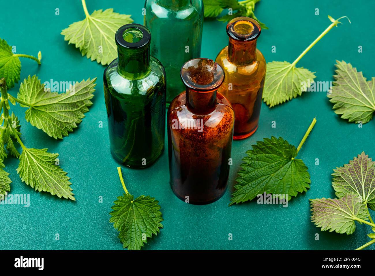 Fresh and dry nettle, herbalism Stock Photo - Alamy