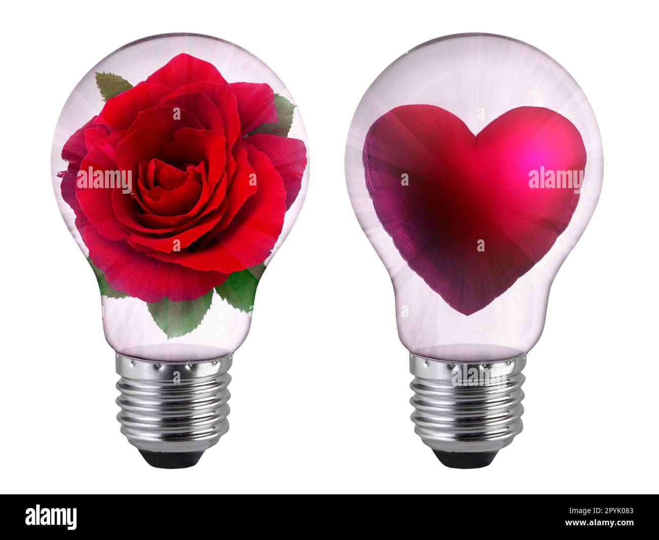 Bulb light with Heart and rose is on White background Stock Photo - Alamy