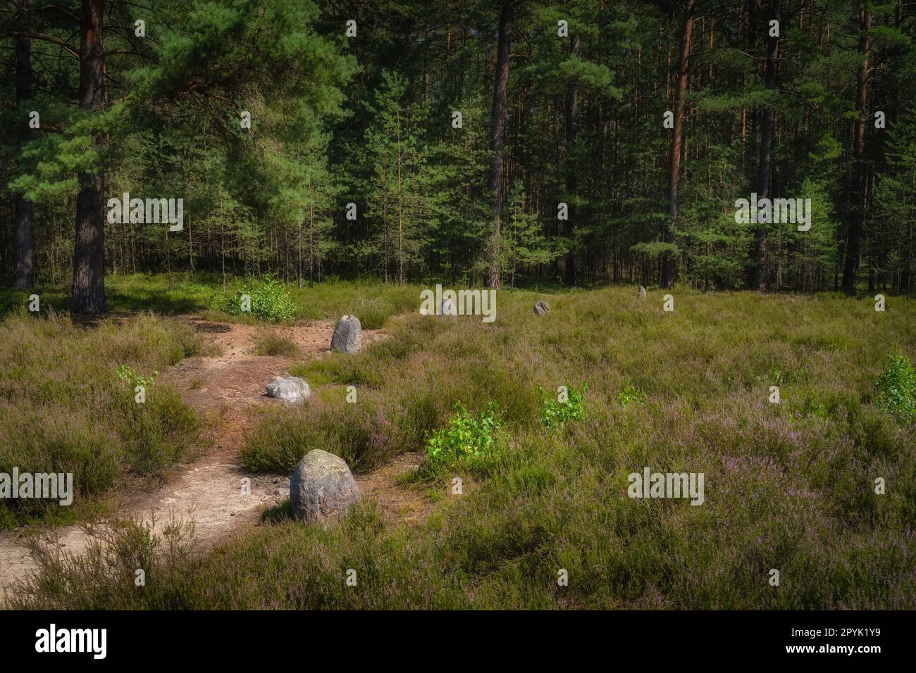 Stone Circles at Odry, an ancient burial and worship place, Poland ...