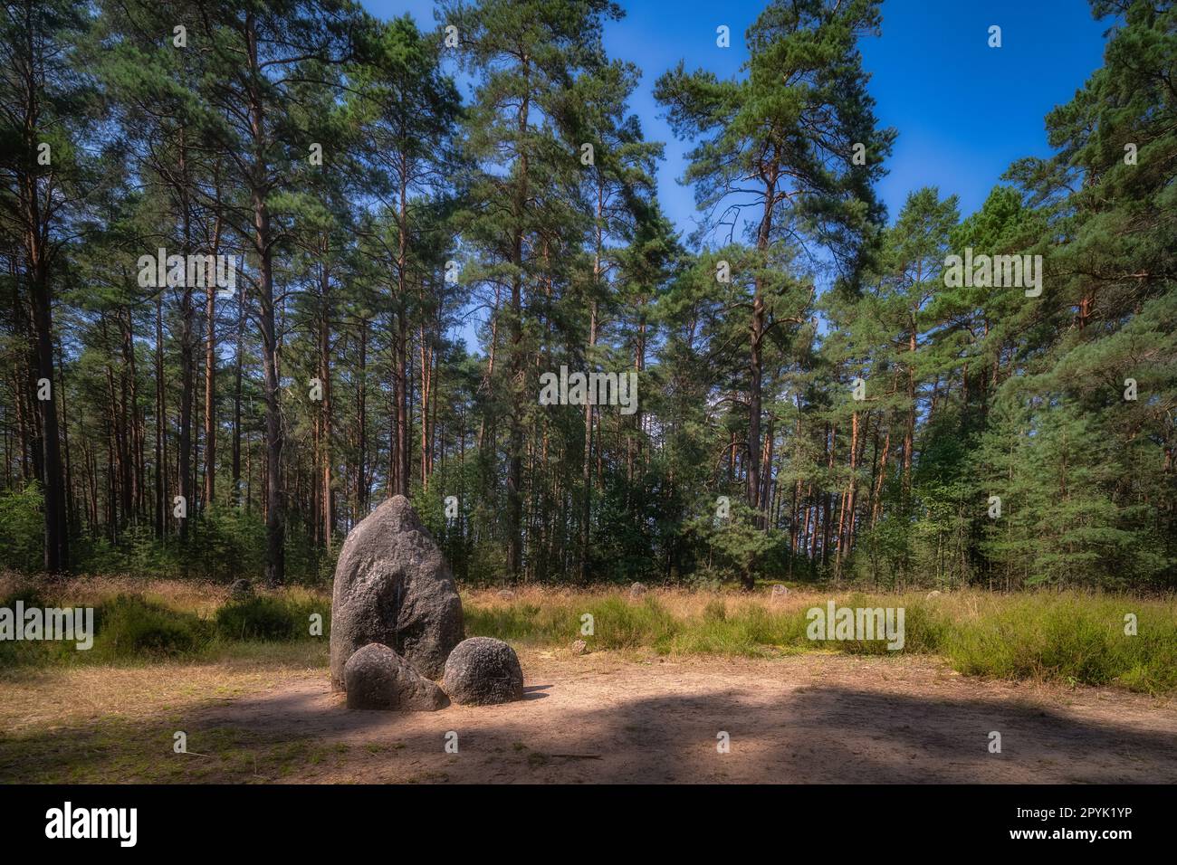 Central stones of Stone Circles at Odry in the forest, Poland Stock ...