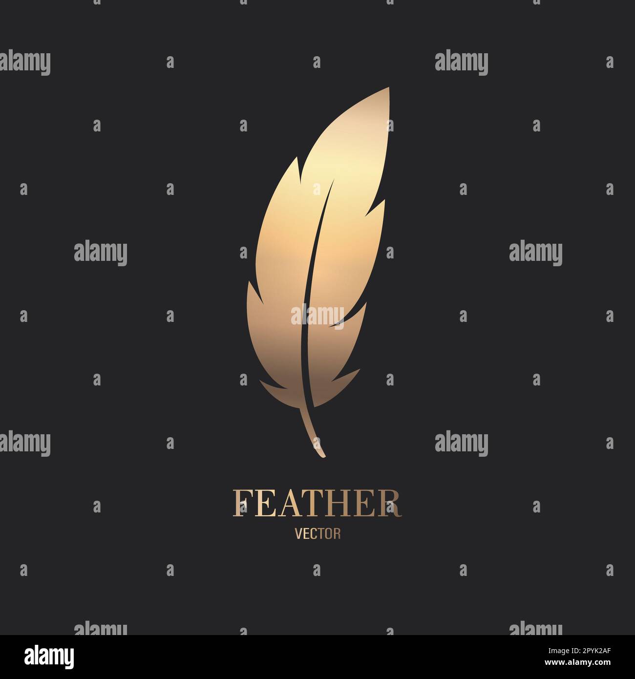 Vector Fluffy Golden Color Feather Logo Icon, Silhouette Feather ...