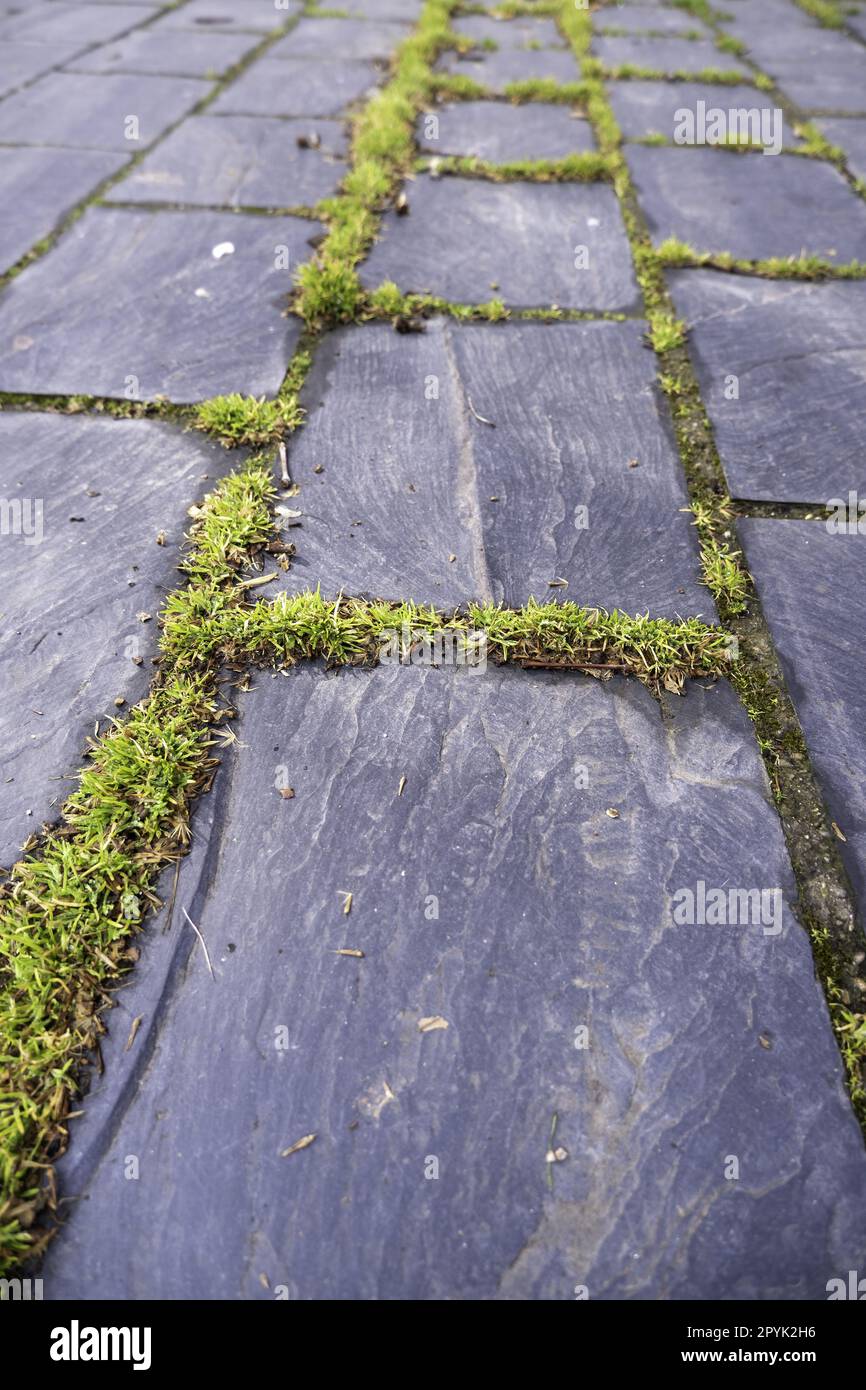 Slate walkway hi-res stock photography and images - Alamy