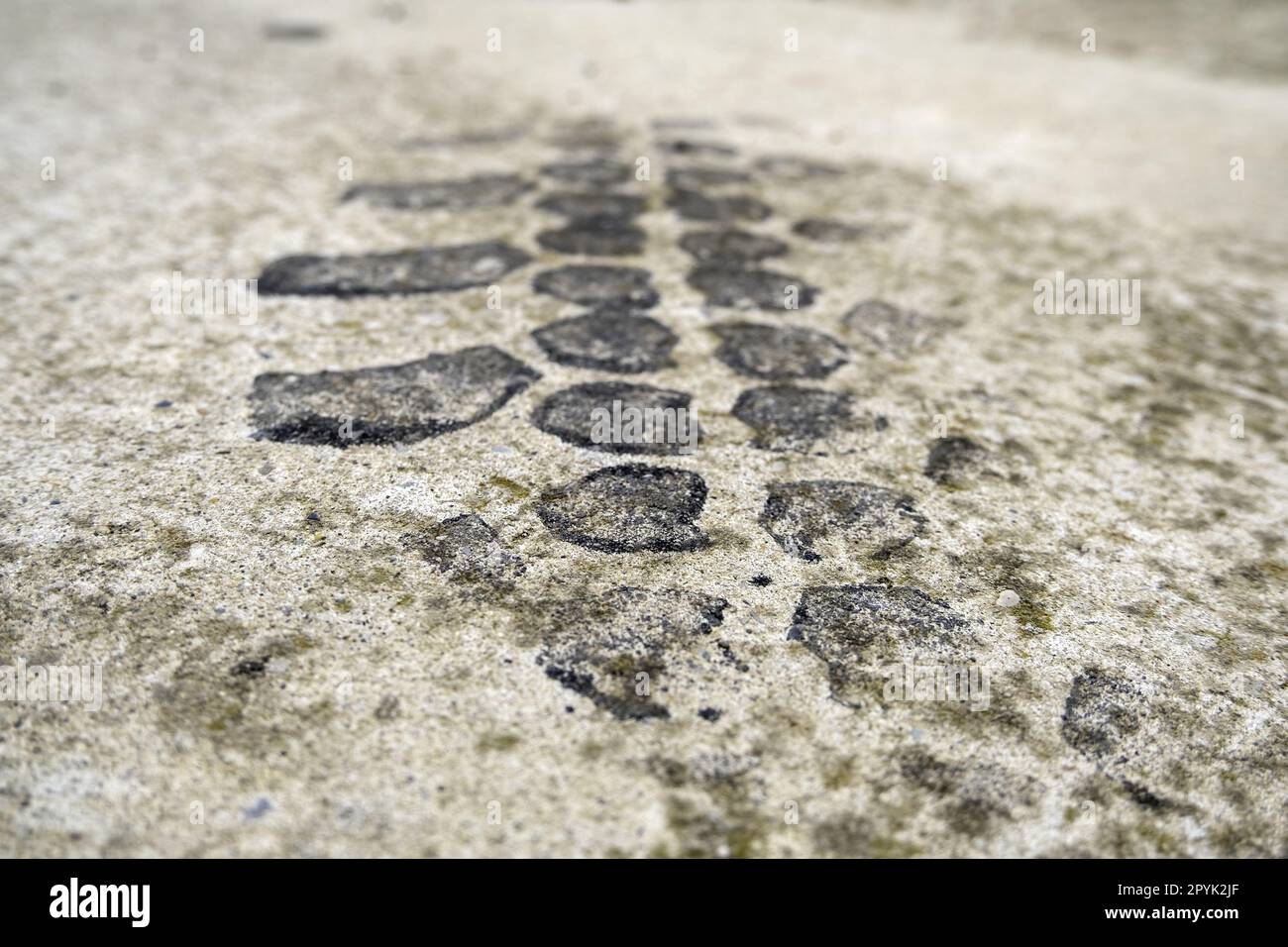 Wheel marks with oil Stock Photo - Alamy