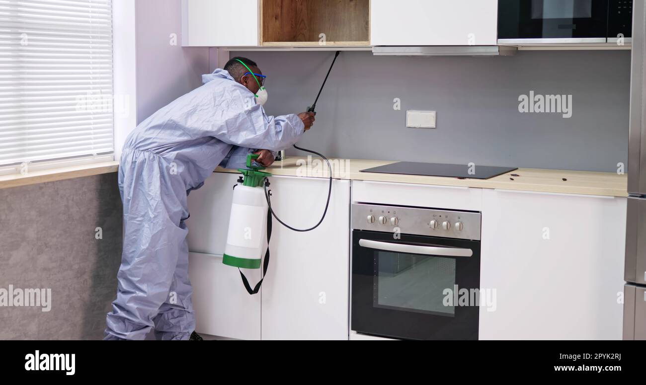Man Showing At Pest Control Worker Spraying Insecticide On Shelf Stock ...