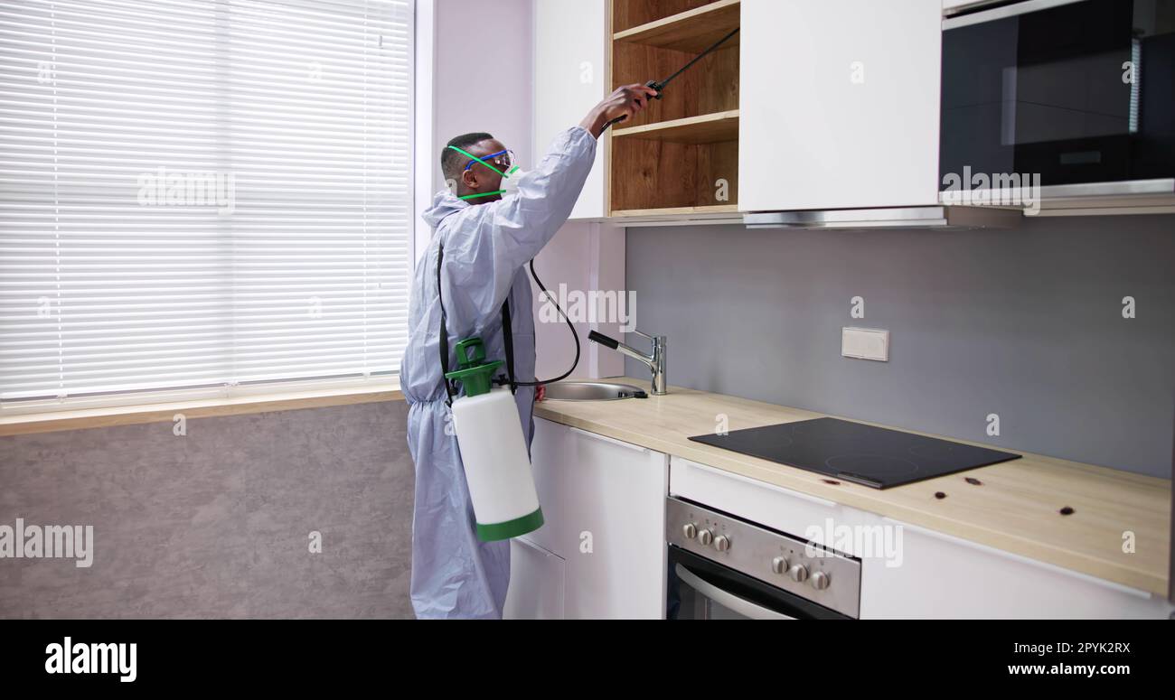 Male Pest Control Worker With Spraying Pesticide Stock Photo - Alamy