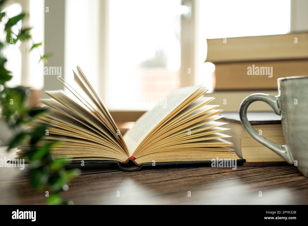 Education learning concept with opening book or textbook at home in ...