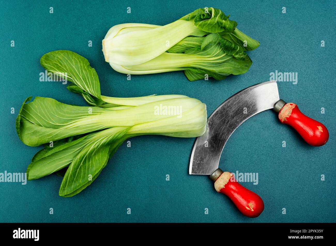 Fresh green pok choy Stock Photo - Alamy