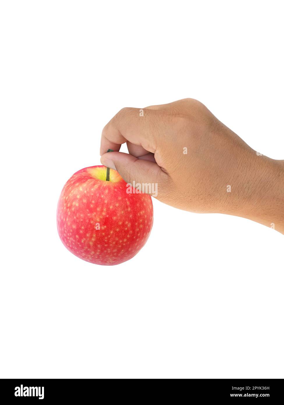 Hand holding the apple on white background Stock Photo - Alamy