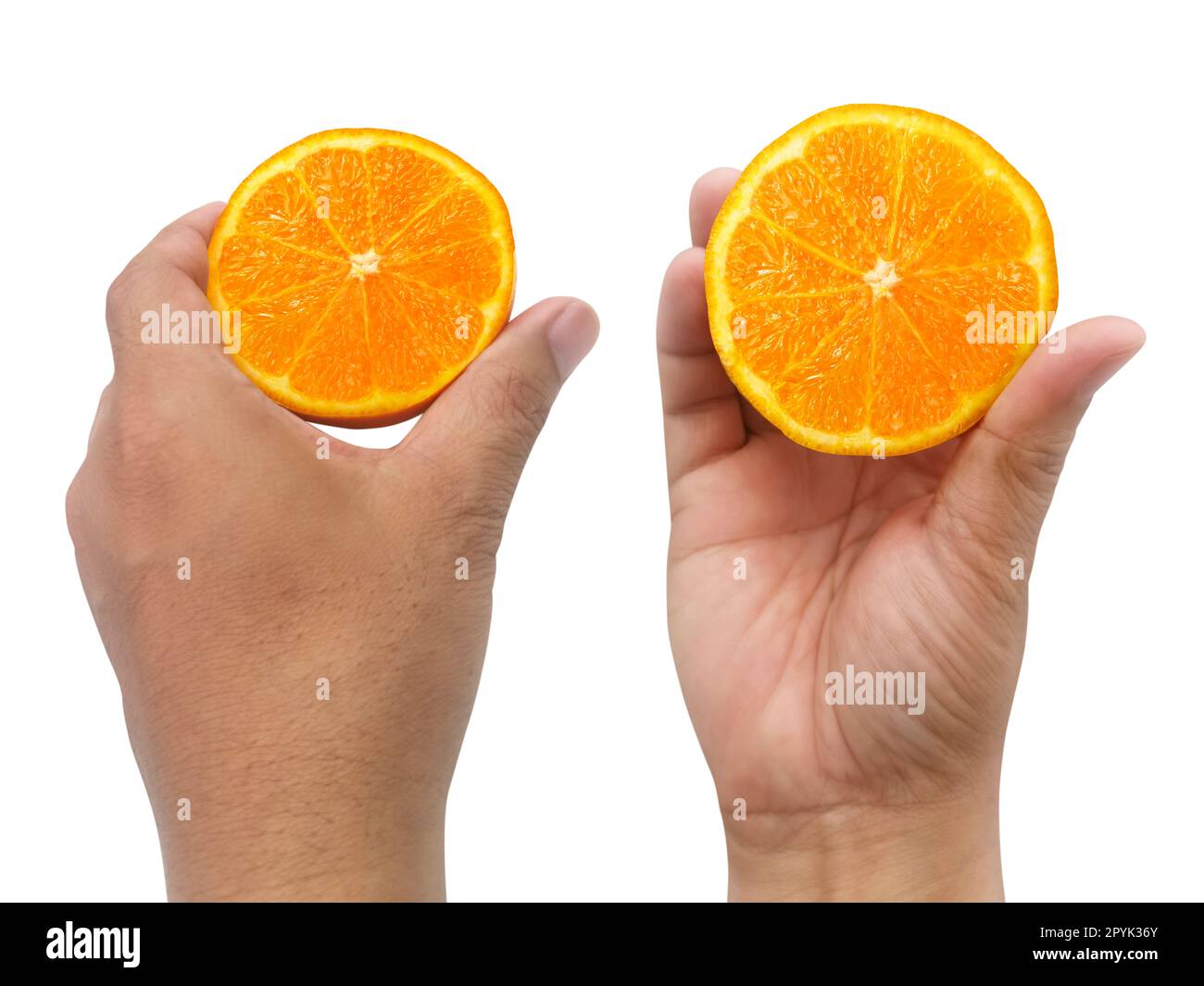 hand holding slice of orange isolated on white background Stock Photo ...