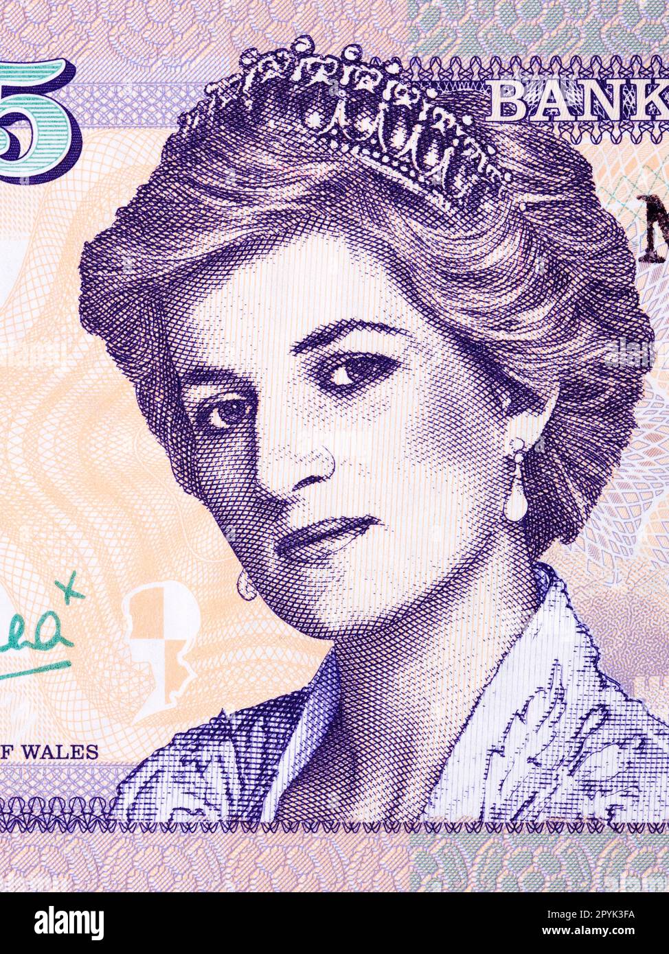 Princess diana portrait hi-res stock photography and images - Alamy