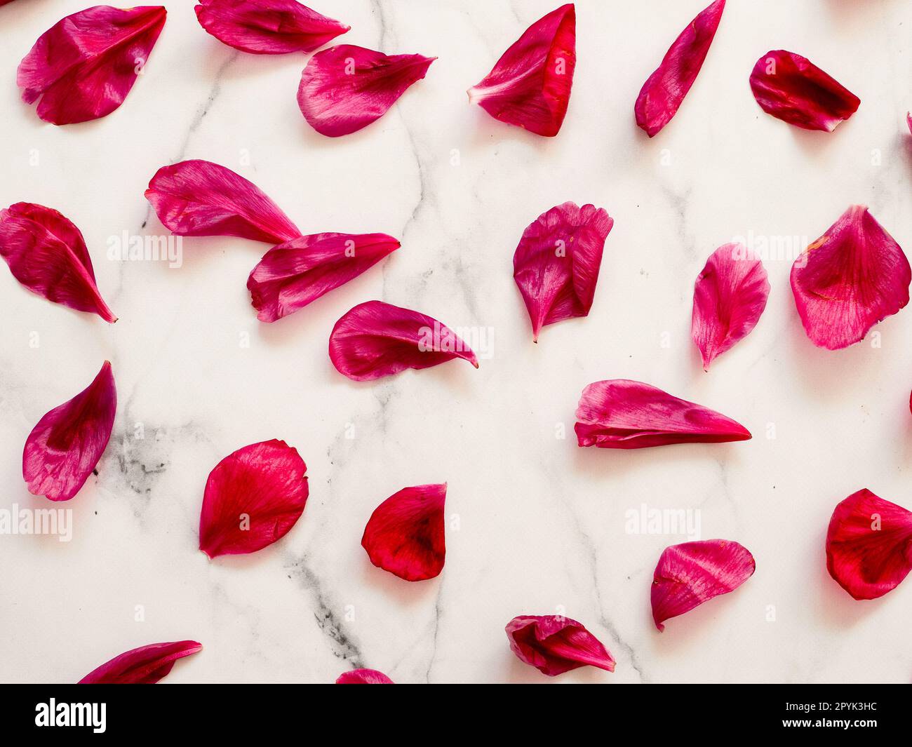 Flat lay marble hi-res stock photography and images - Alamy
