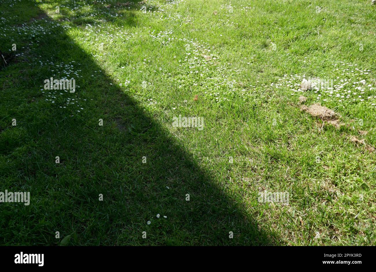 Los Angeles, California, USA 1st May 2023 Actor William A. Russell ...