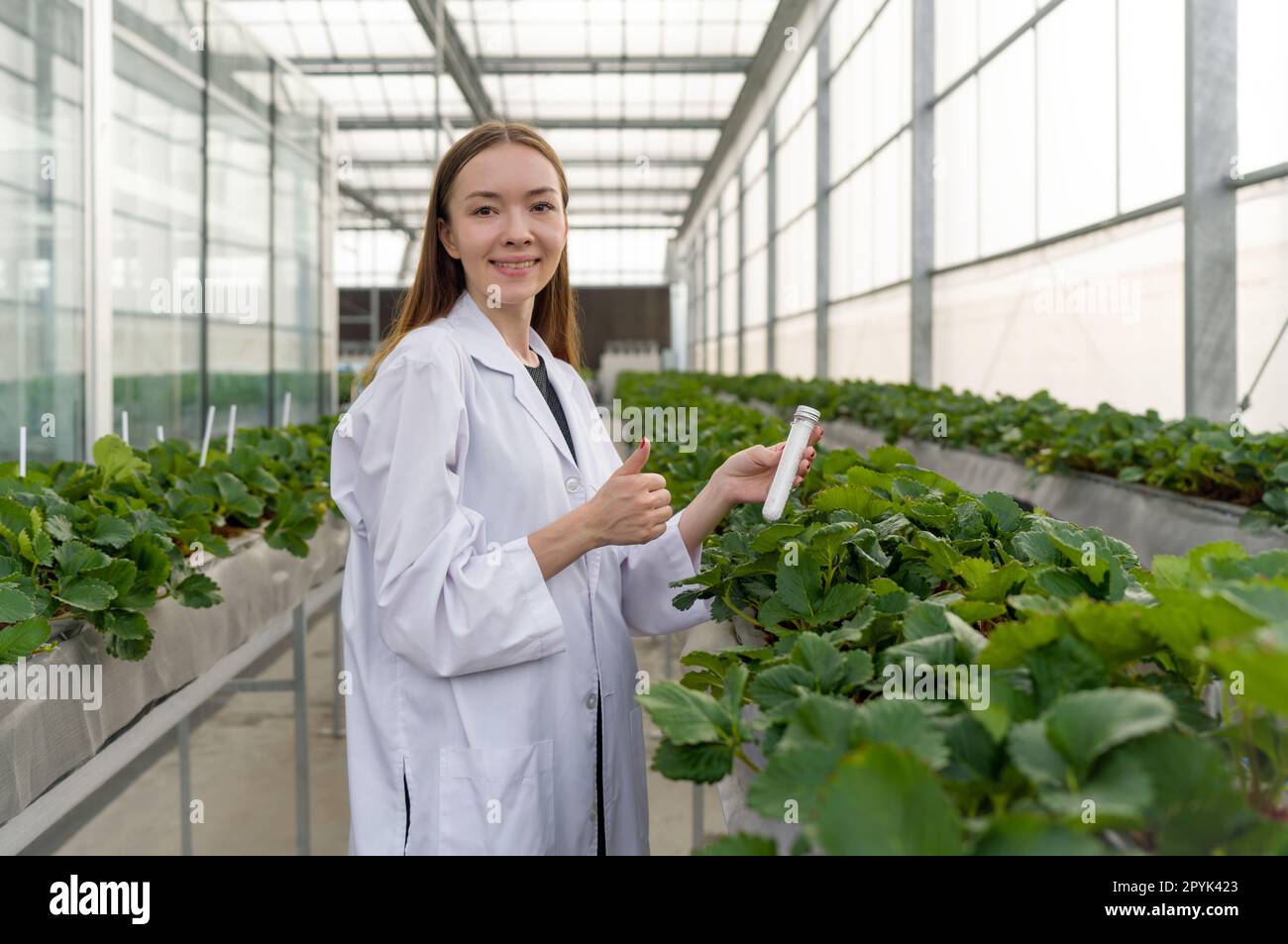 Produce urea hi-res stock photography and images - Alamy