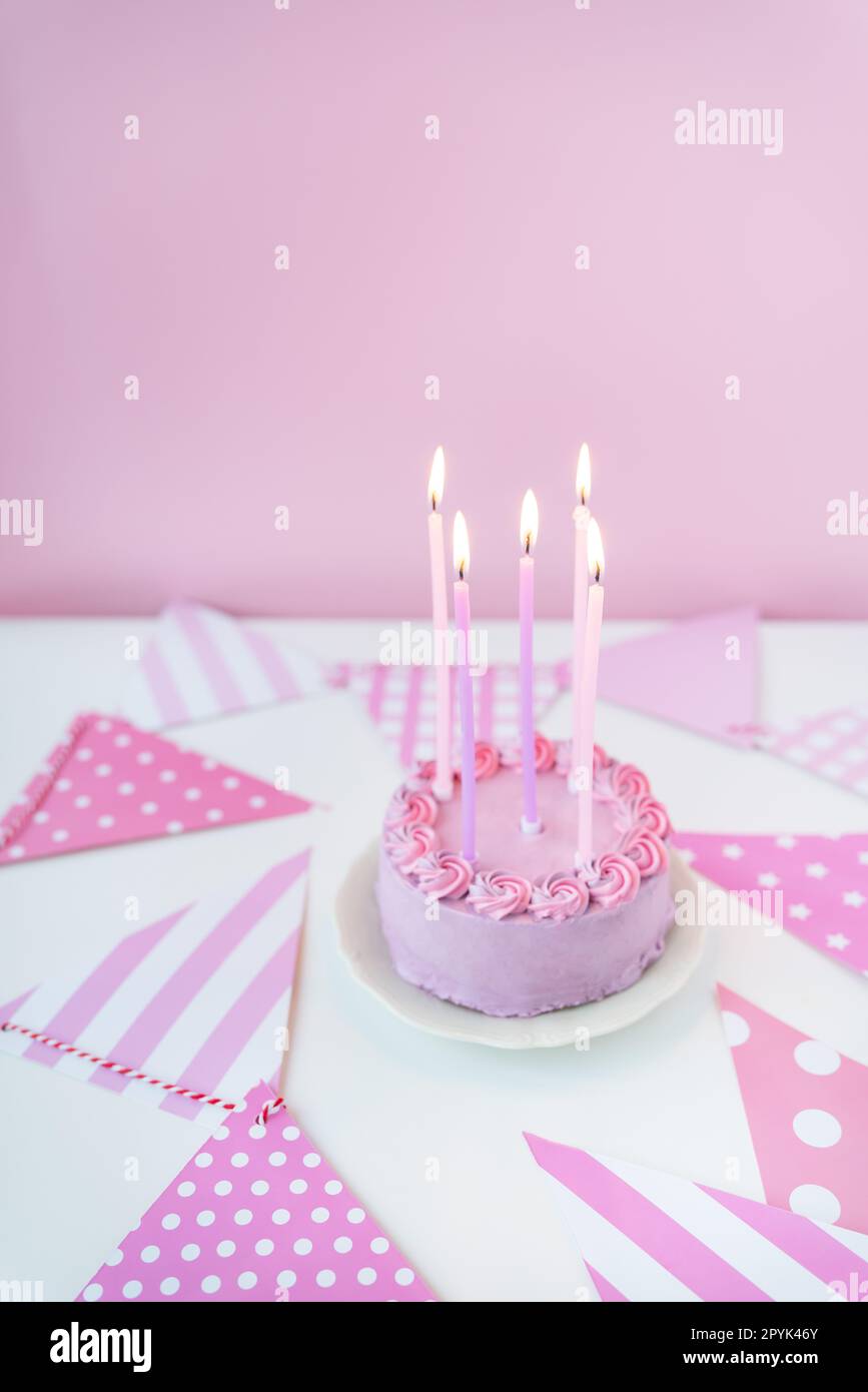 Delicate lavender pink bento cake on a plate on a pink background of ...