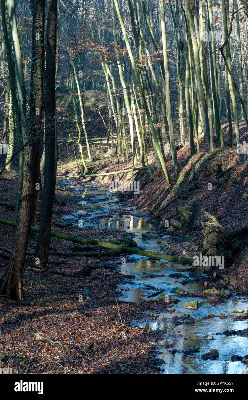 Small river in sun hi-res stock photography and images - Alamy